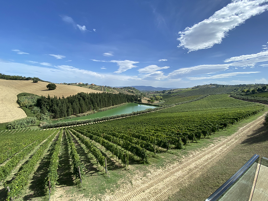 Are irrigation and artificial ponds the key to mitigating climate ...