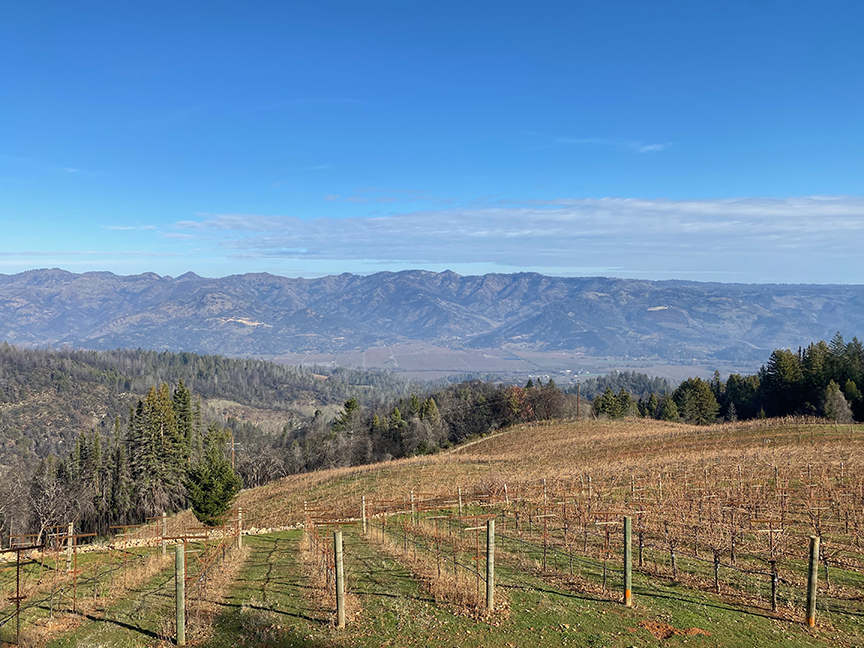 A visit to Smith-Madrone on Napa’s Spring Mountain felt like coming ...